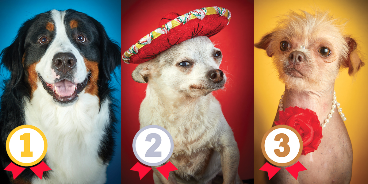 Meet the 2019 Cutest Pet Contest Winners