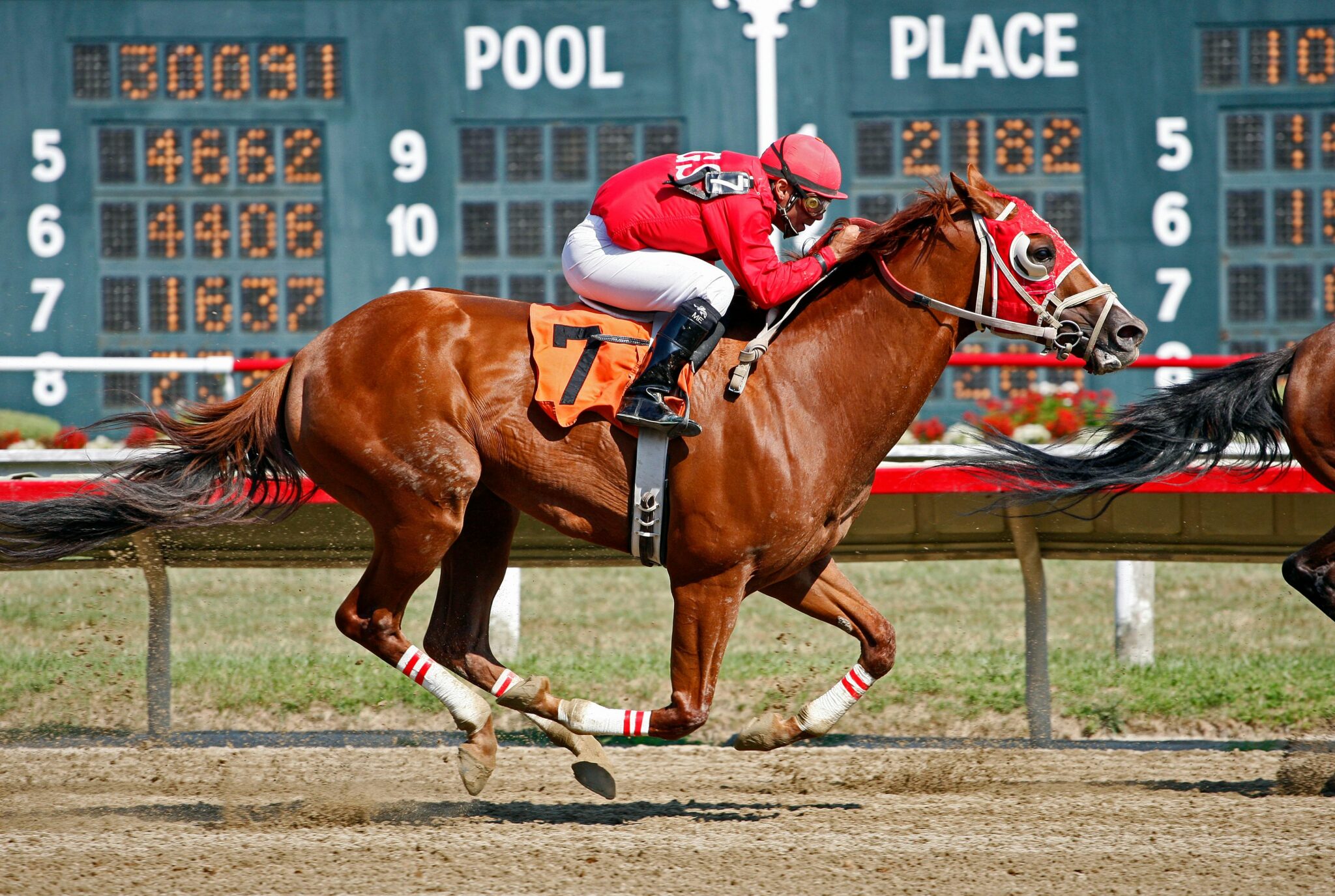 Where to Celebrate the Kentucky Derby in Orlando: 2025 Watch Parties ...